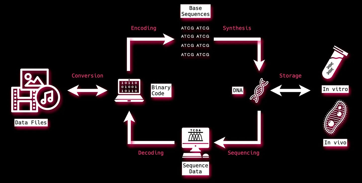 Save As: DNA 🧬 Part 2 - by Thobey Campion - EXO
