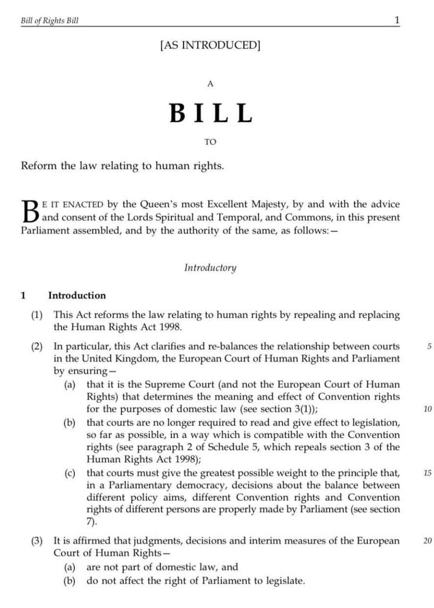 Bill of rights? - by Joshua Rozenberg - A Lawyer Writes