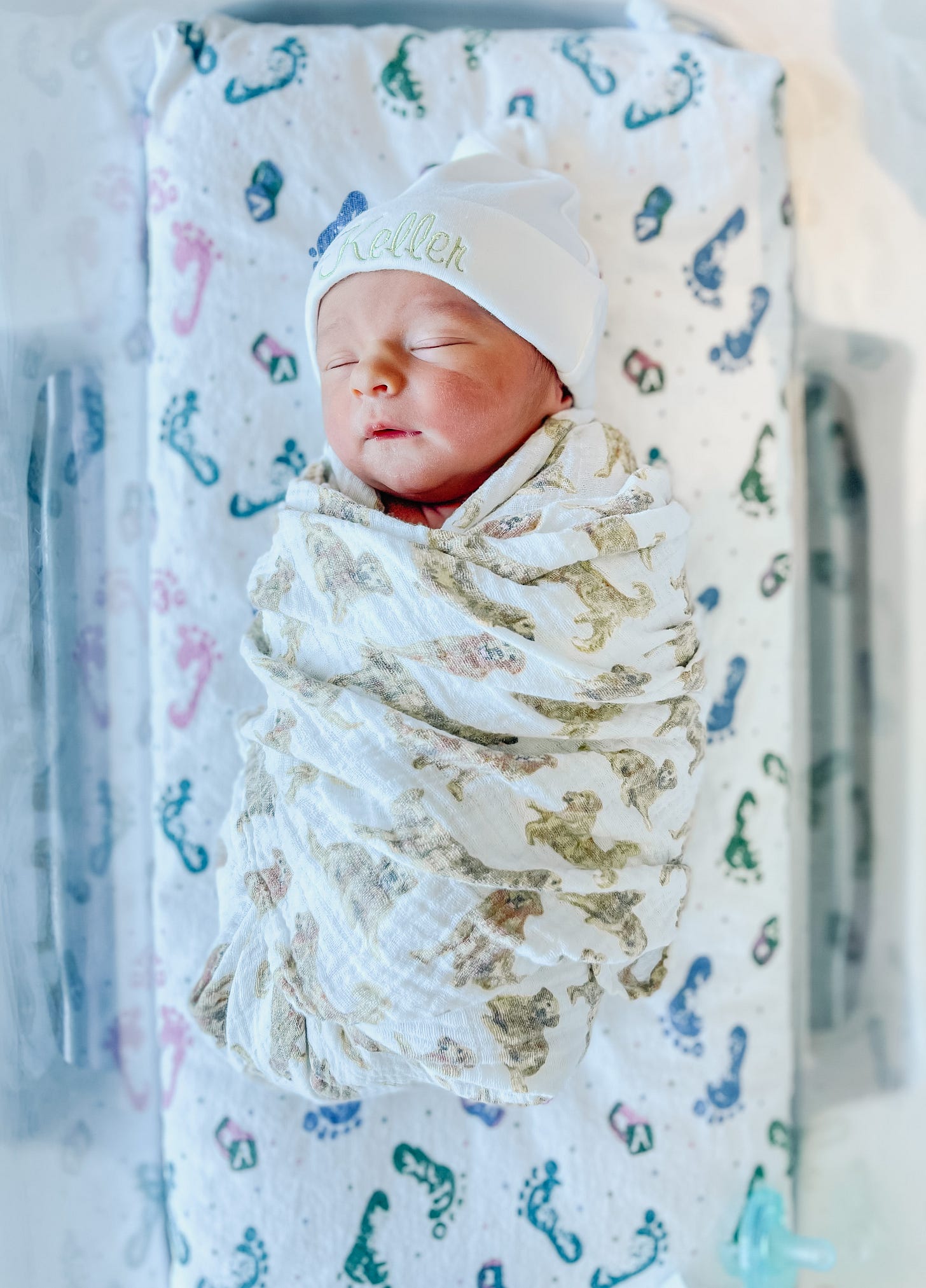 Erasmus The Mouse - by Jeffrey Carter - Points And Figures