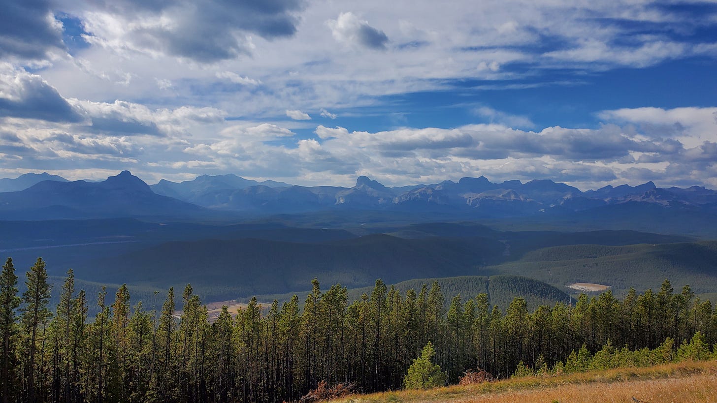 🔥🥾Hike To a Fire Lookout (Or Two) - by Annalise & Cailynn