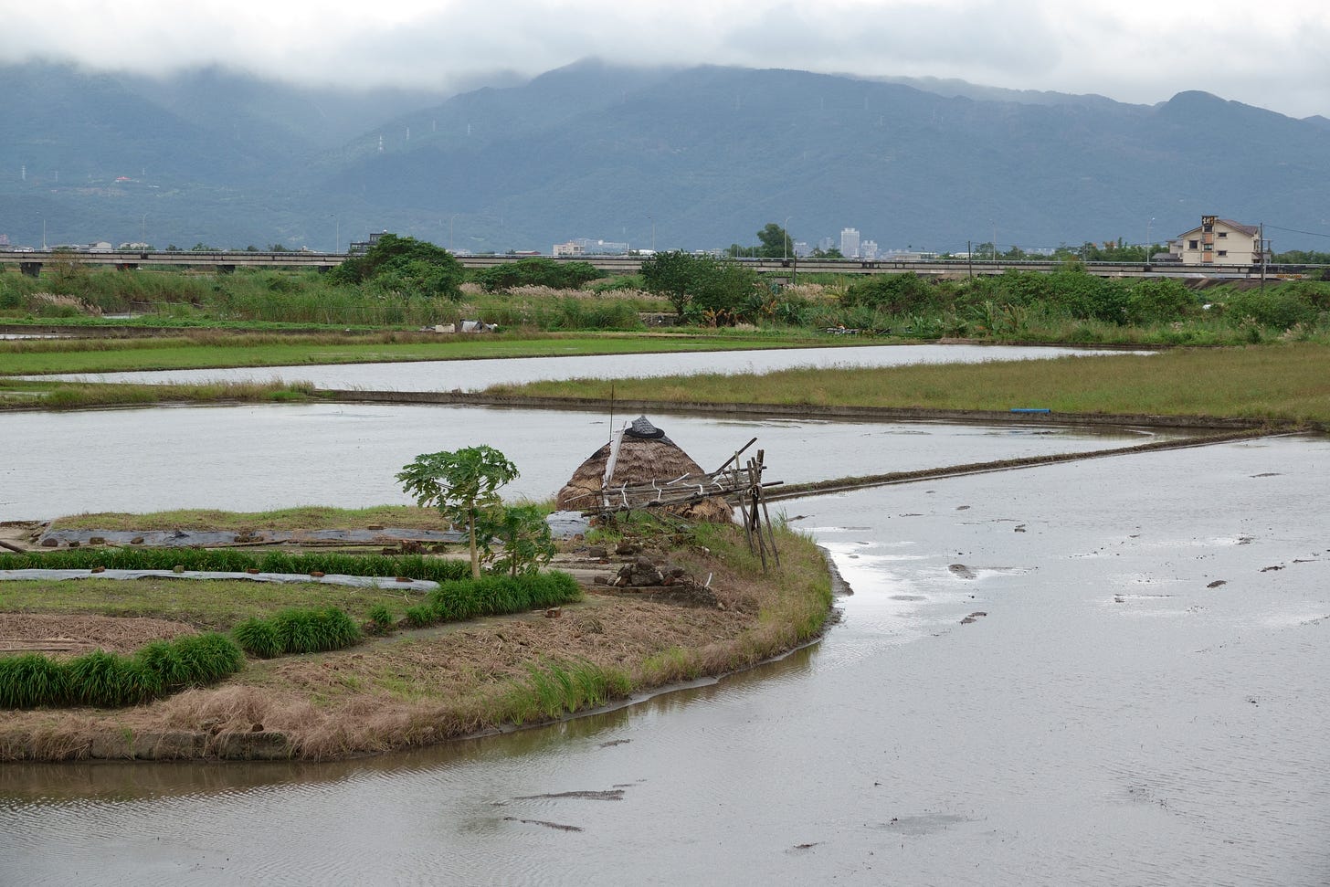 Birds and Hot Springs in Yilan - by 林紋沛 Wenpei Lin