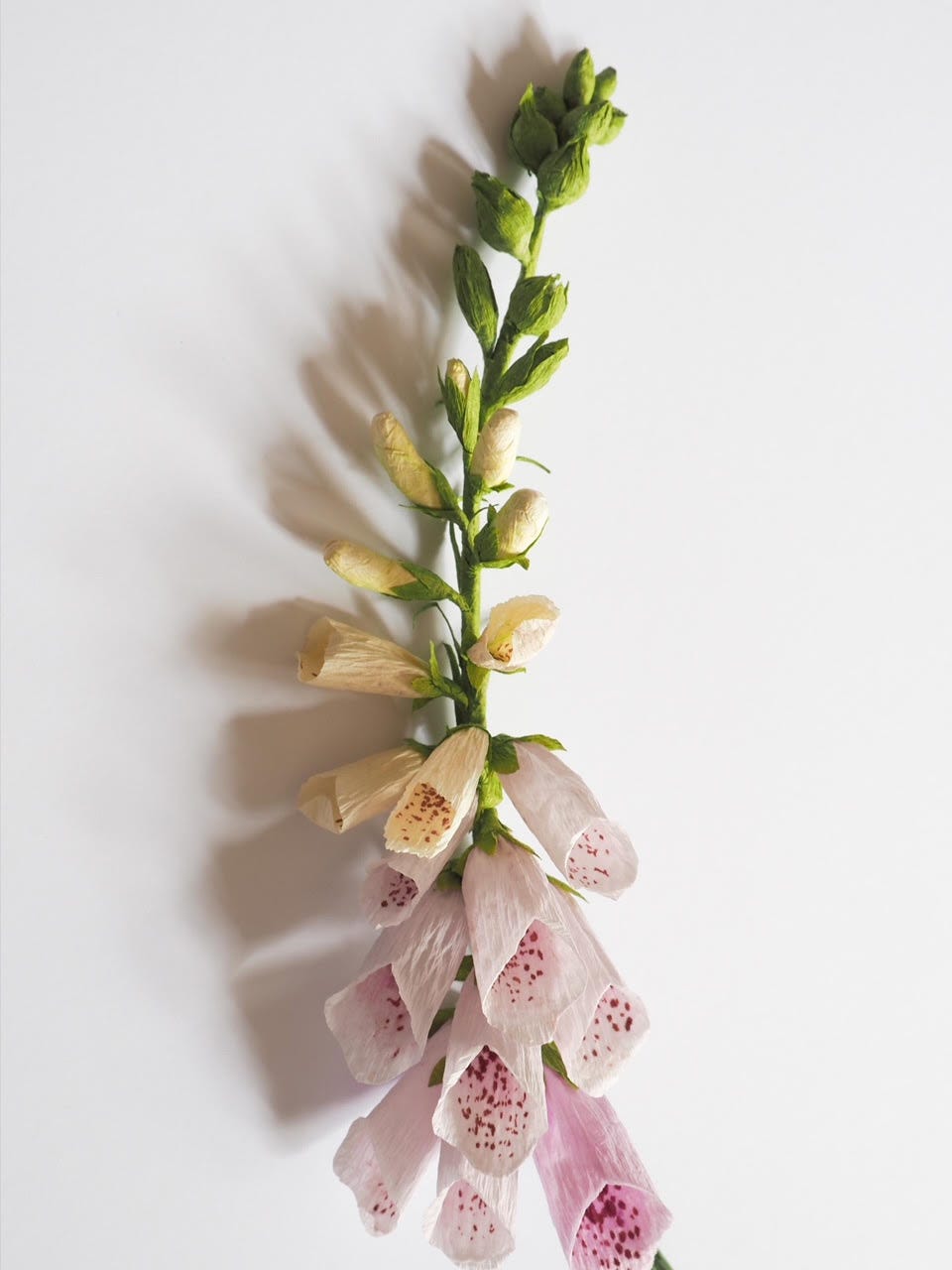 The Q&A: Susan Beech, paper flowers as fine art