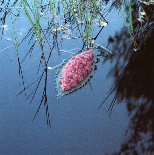 Inspiration Corner #2 - by Celeste Tsang