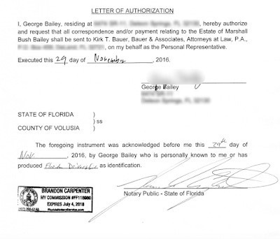 The Affidavits - by George Bailey - George’s Substack