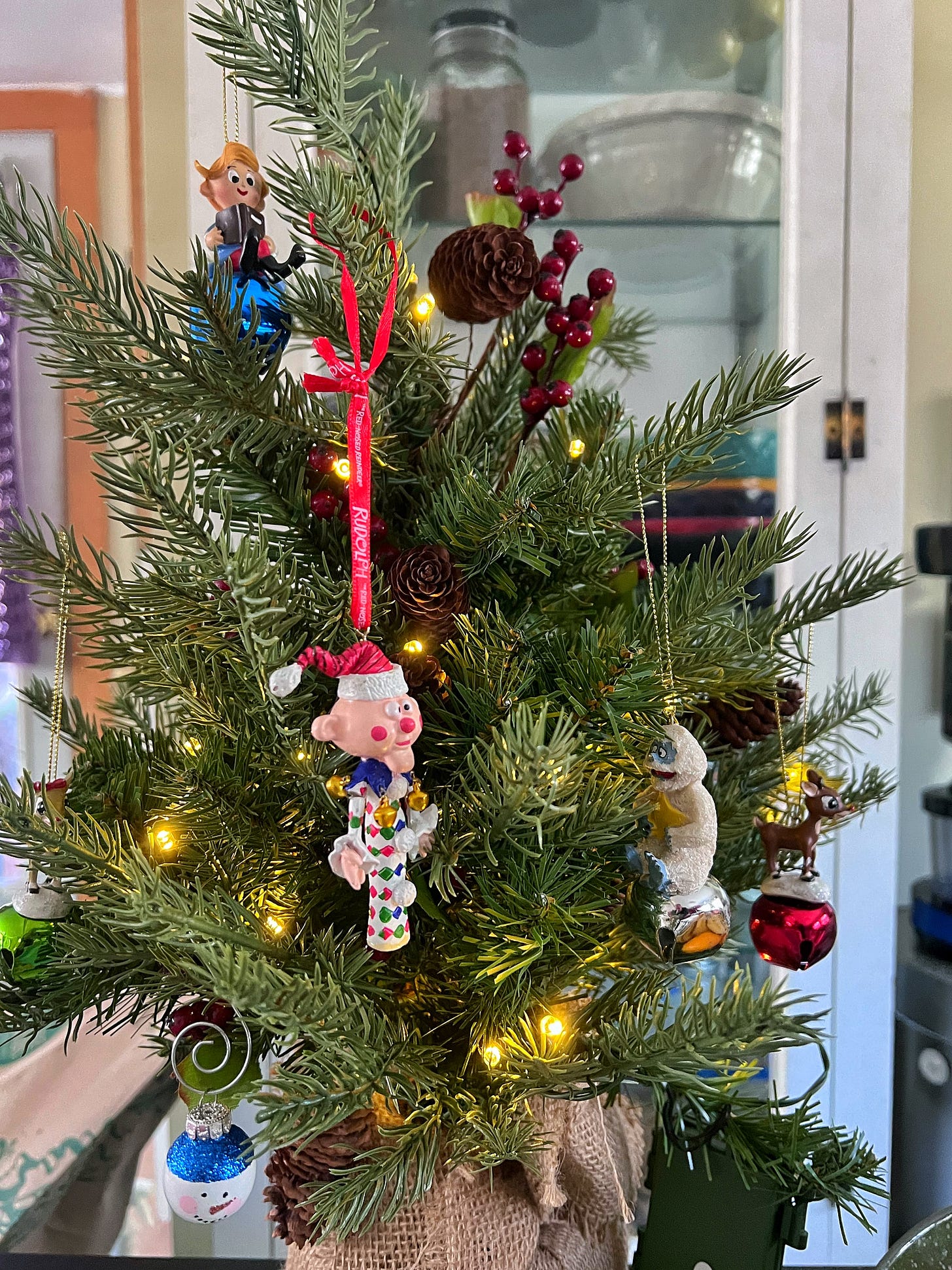 Random Acts of Thanksgiving - Tom Ryan, Author