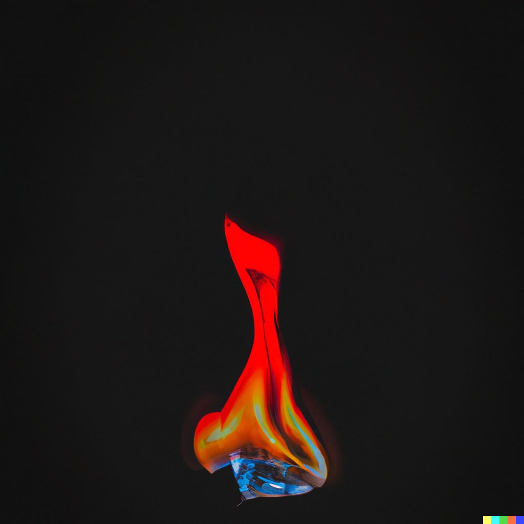 La llama del fuego: características y comportamiento