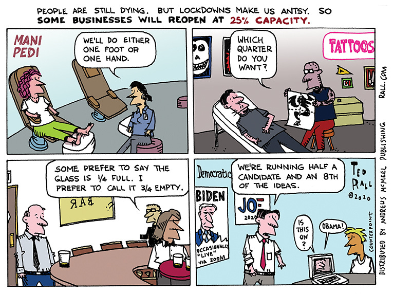 Ted Rall's Best of 2020 - Counterpoint