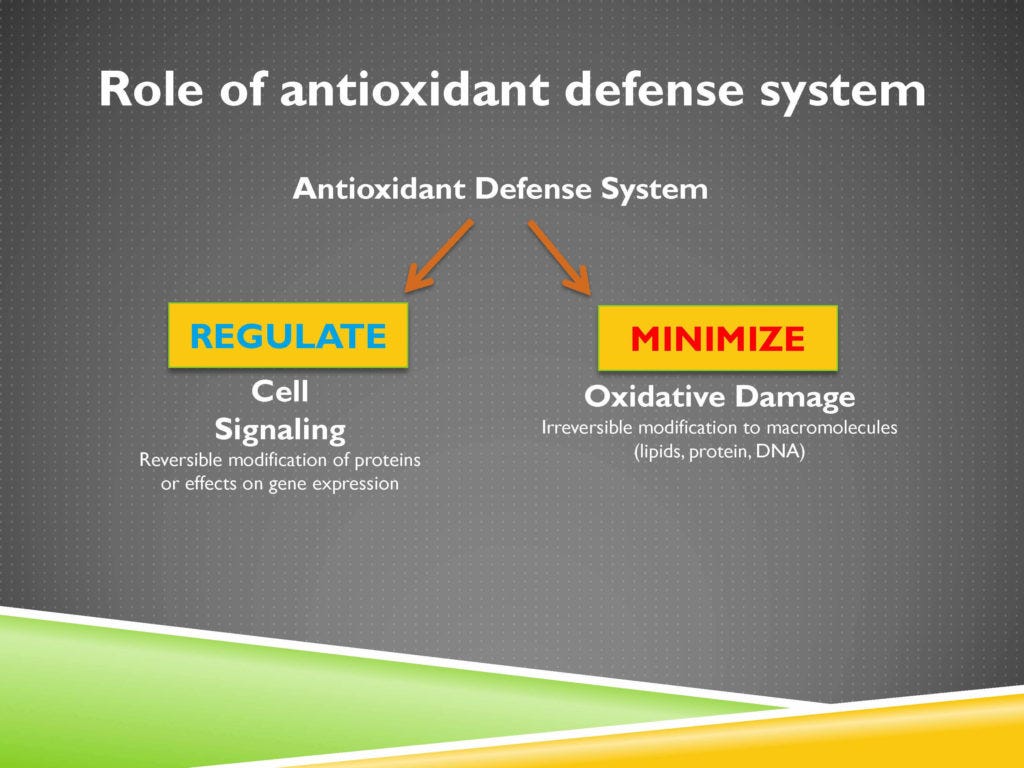 3. Introduction to the Antioxidant System