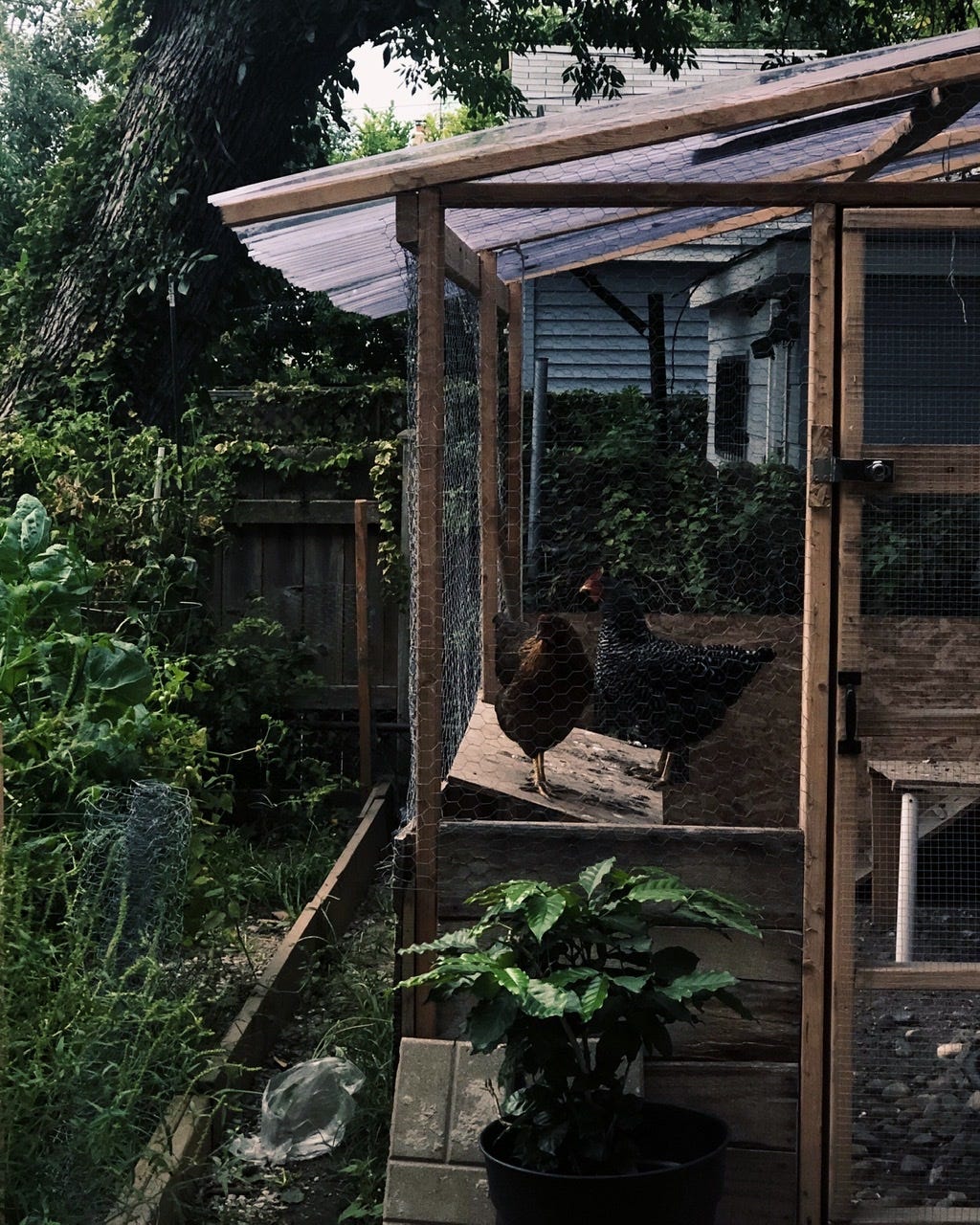 #32: June in Logan Square - by Stefania Culafic