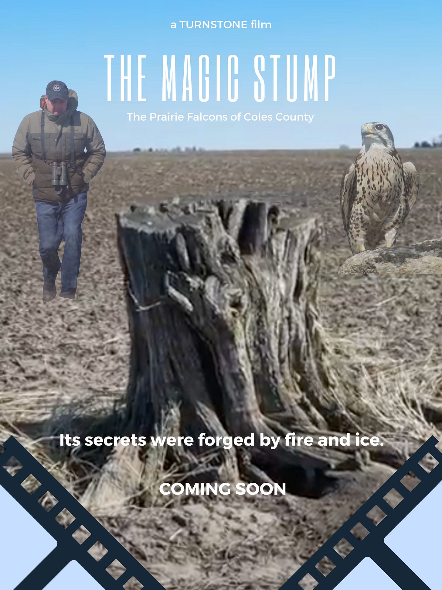 The mysteries of The Magic Stump - by Bob Dolgan