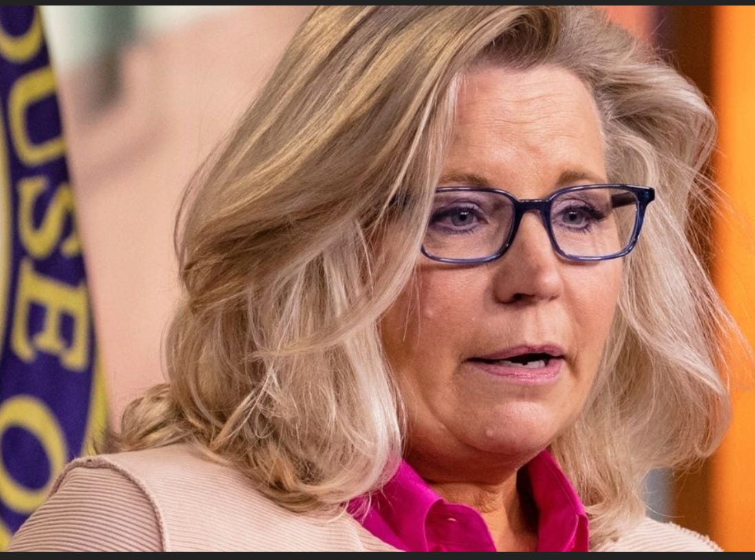 "Cheney for President" - by Robert W Malone MD, MS