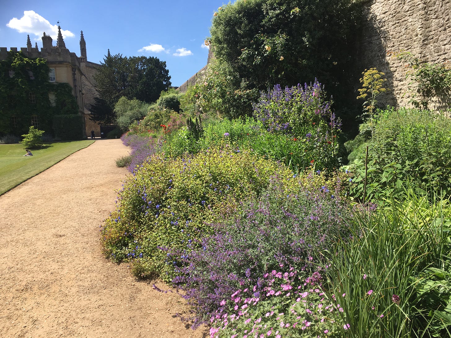 cult of saints - by rose lyddon