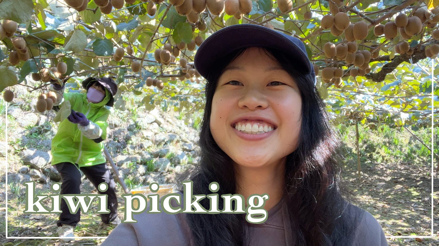 pick 1 kiwi, receive 10 - by Mina (she/her)
