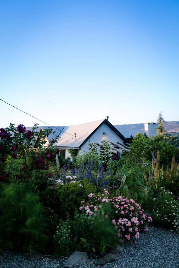 The Elliott Homestead Newsletter | Shaye Elliott | Substack