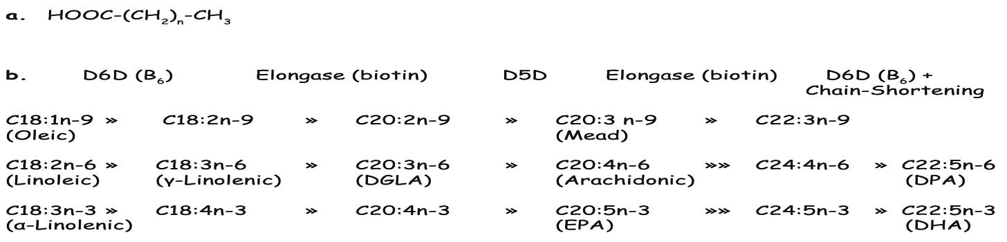 How Essential Are the Essential Fatty Acids?