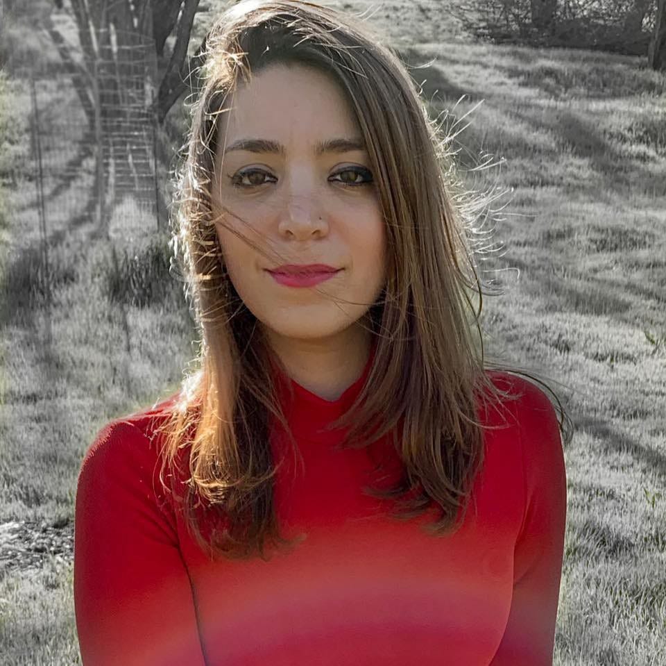 New Workshop: Collaborative Storytelling with Shaghayegh Cyrous