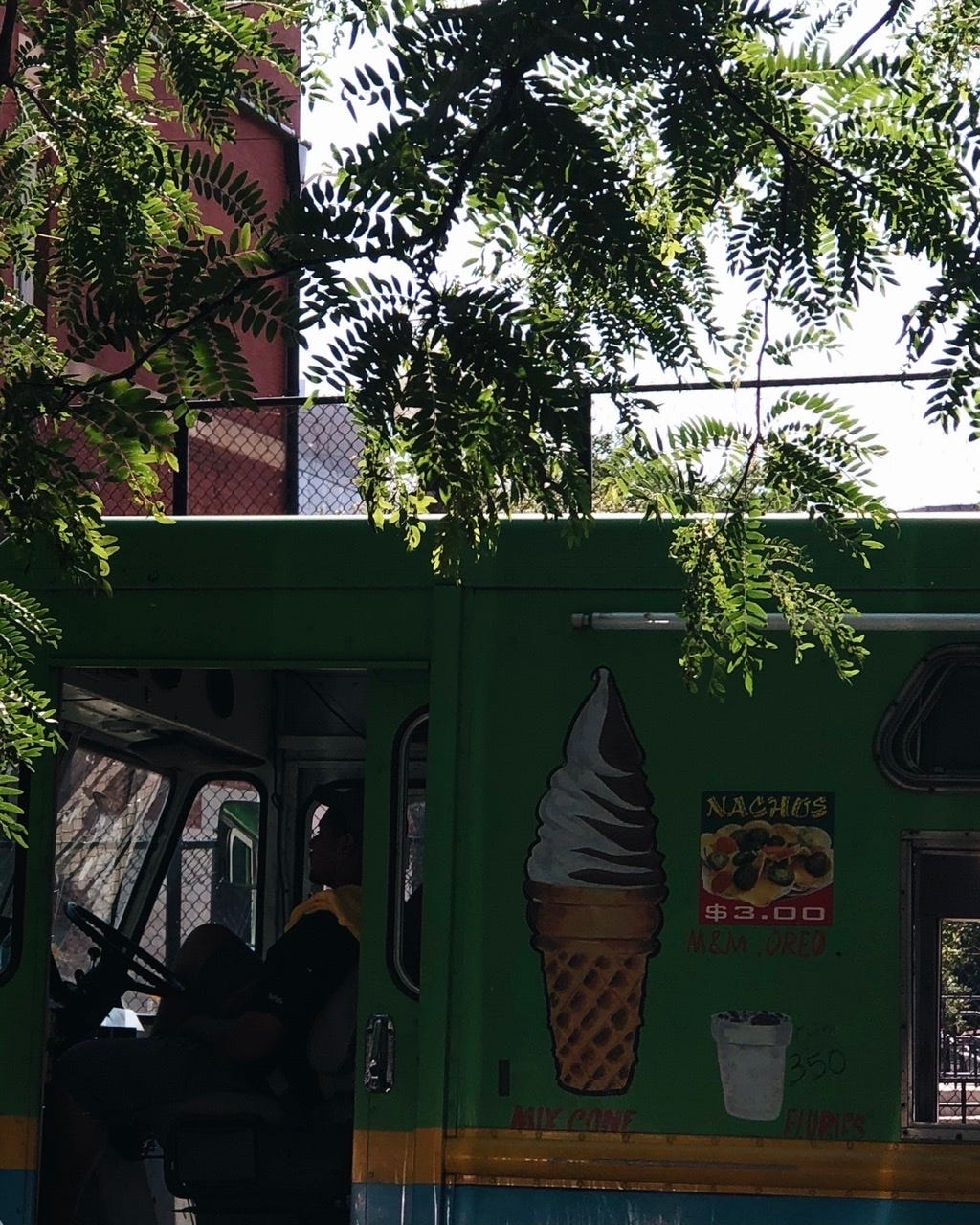 #32: June in Logan Square - by Stefania Culafic