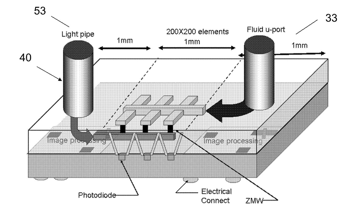 What's in a PacBio Revio? - by Nava Whiteford
