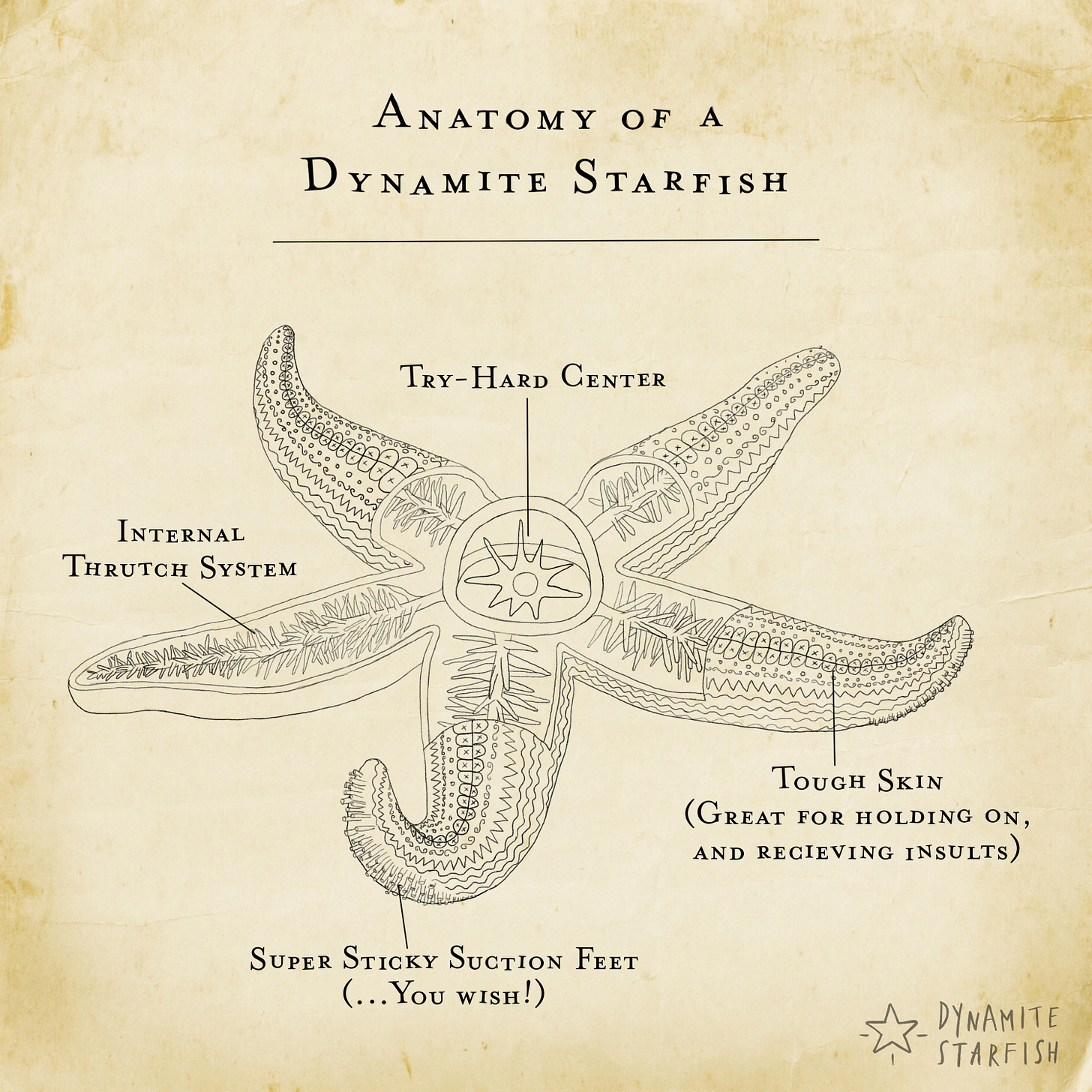 Glimmers of a radiant world: The building blocks of Dynamite Starfish