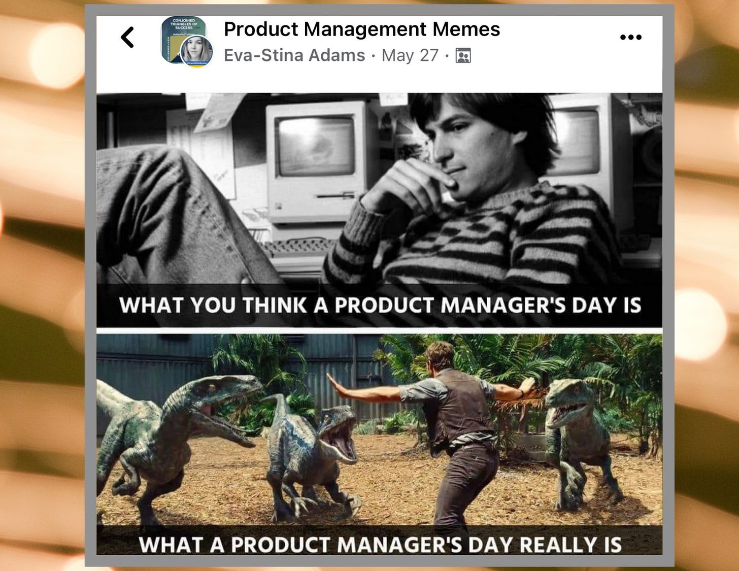 From Product Manager to Product Leader - by Adam Harmetz