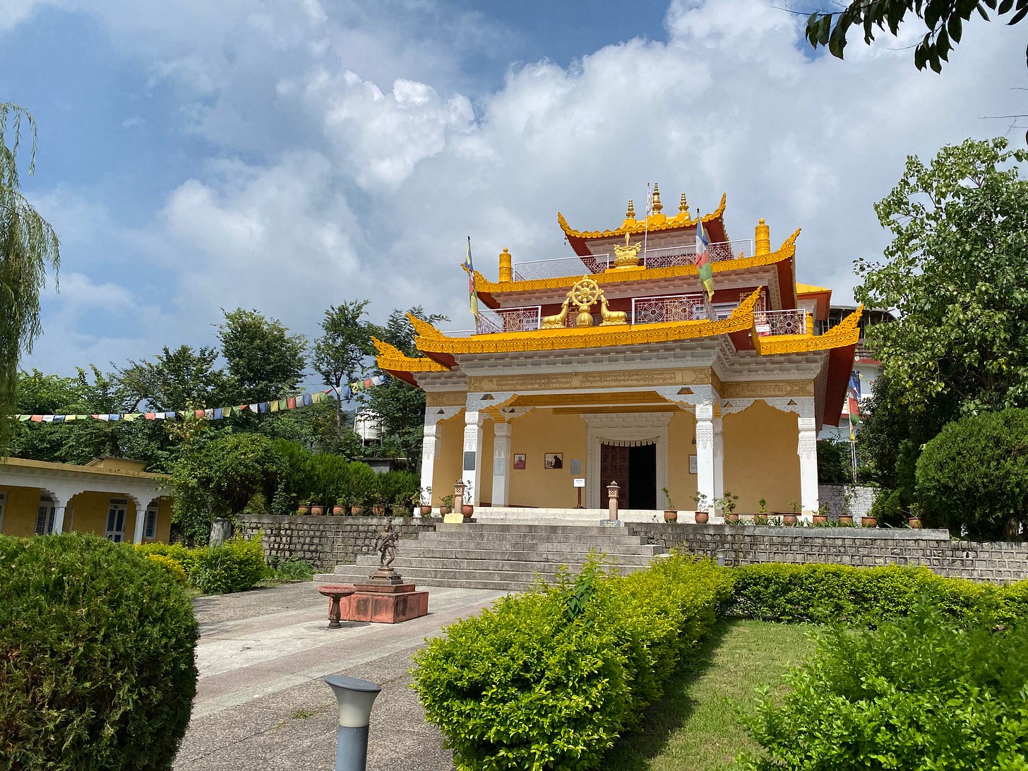 30 Eggs a Day. Day 24 update - by Joseph Everett (WIL)