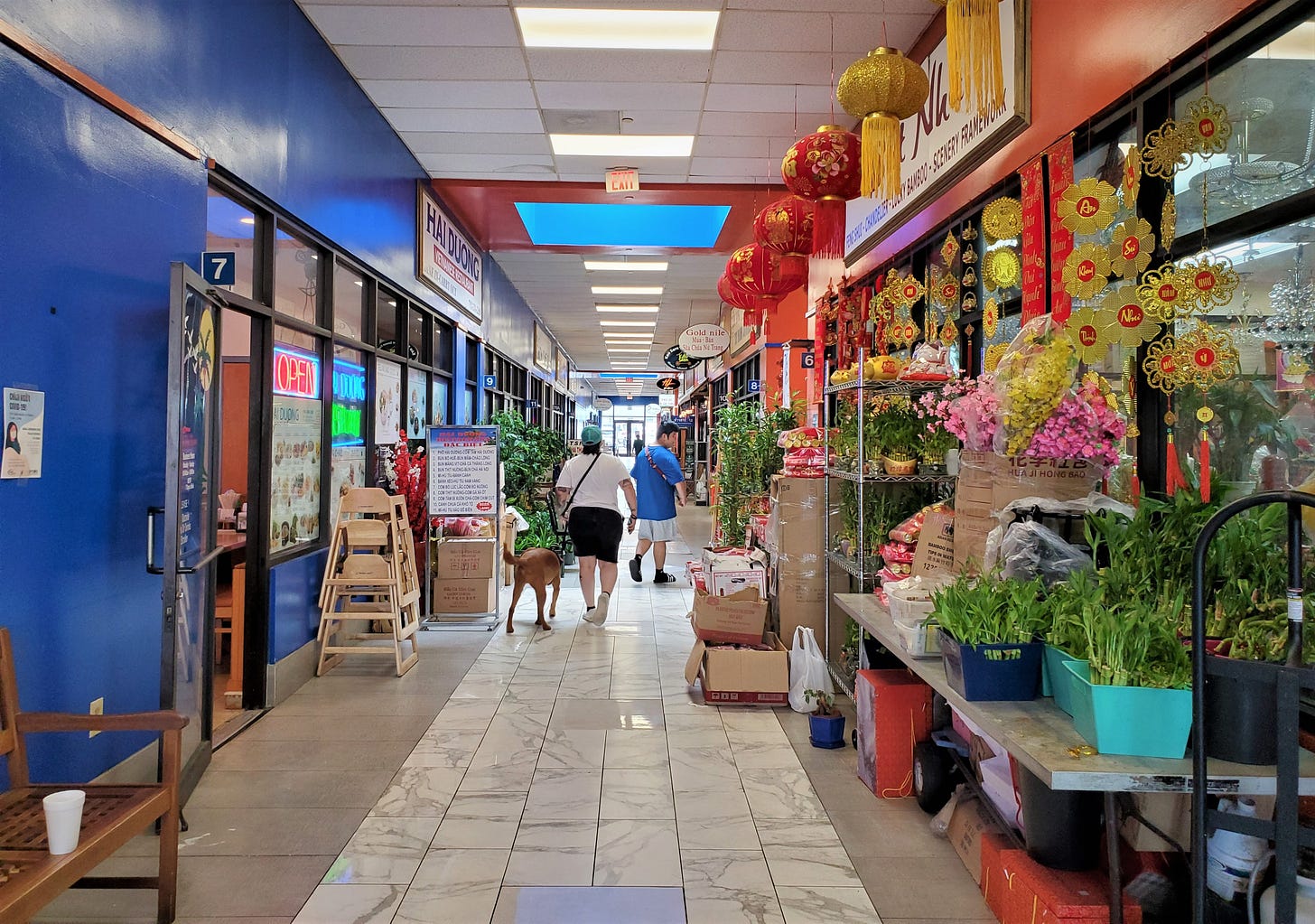 Inside Eden Center - by Addison Del Mastro