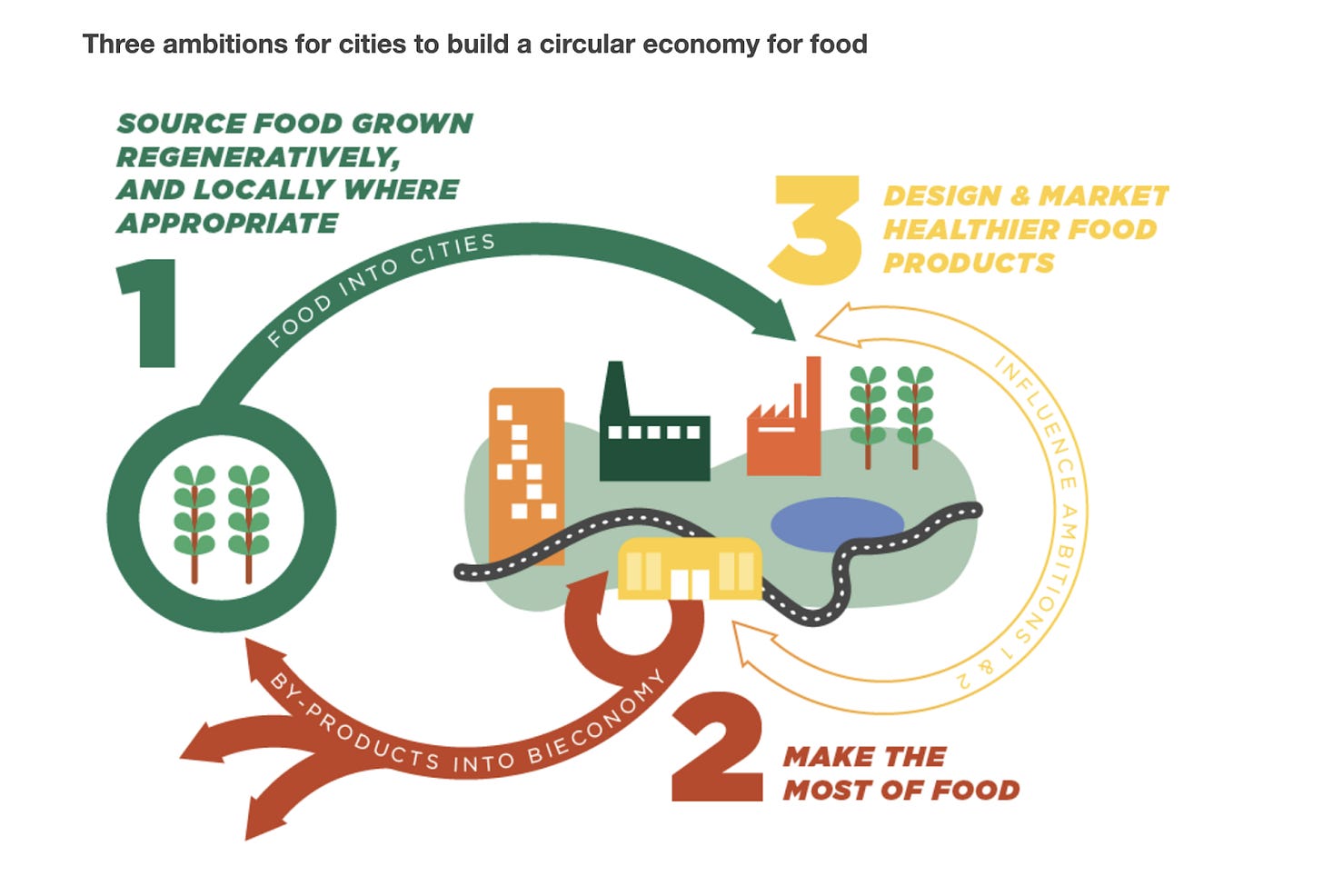 Circular economy in the Agri-food system: The solution for food waste?
