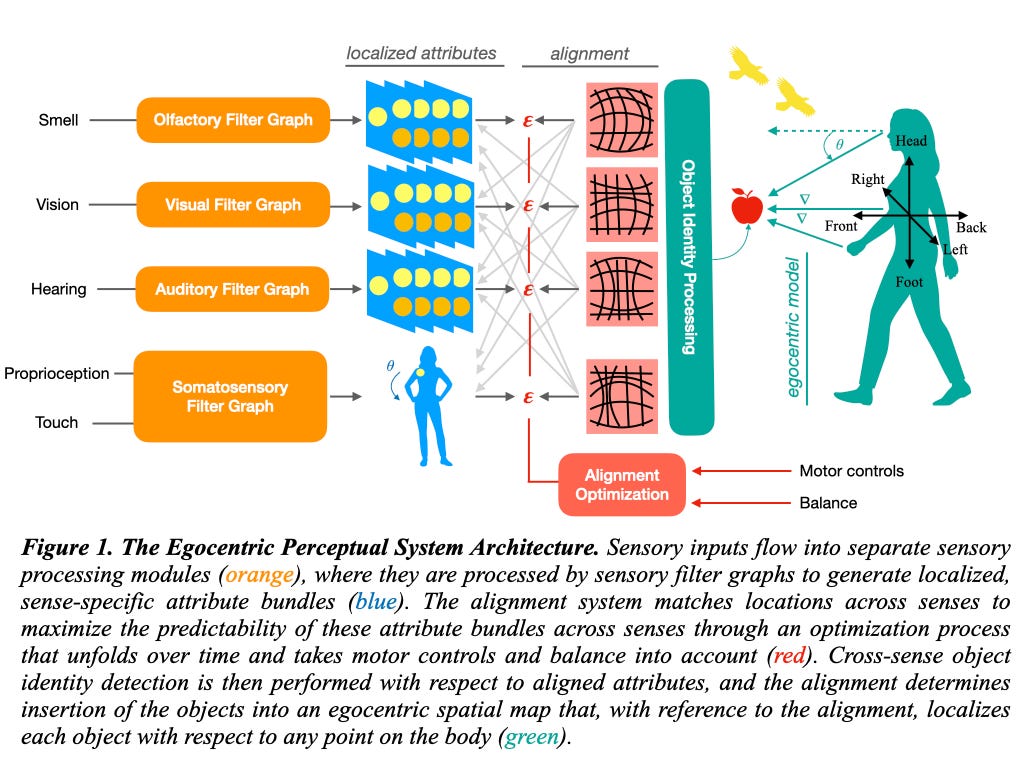 Architecture of a Perceptual System - by Alan J Lockett