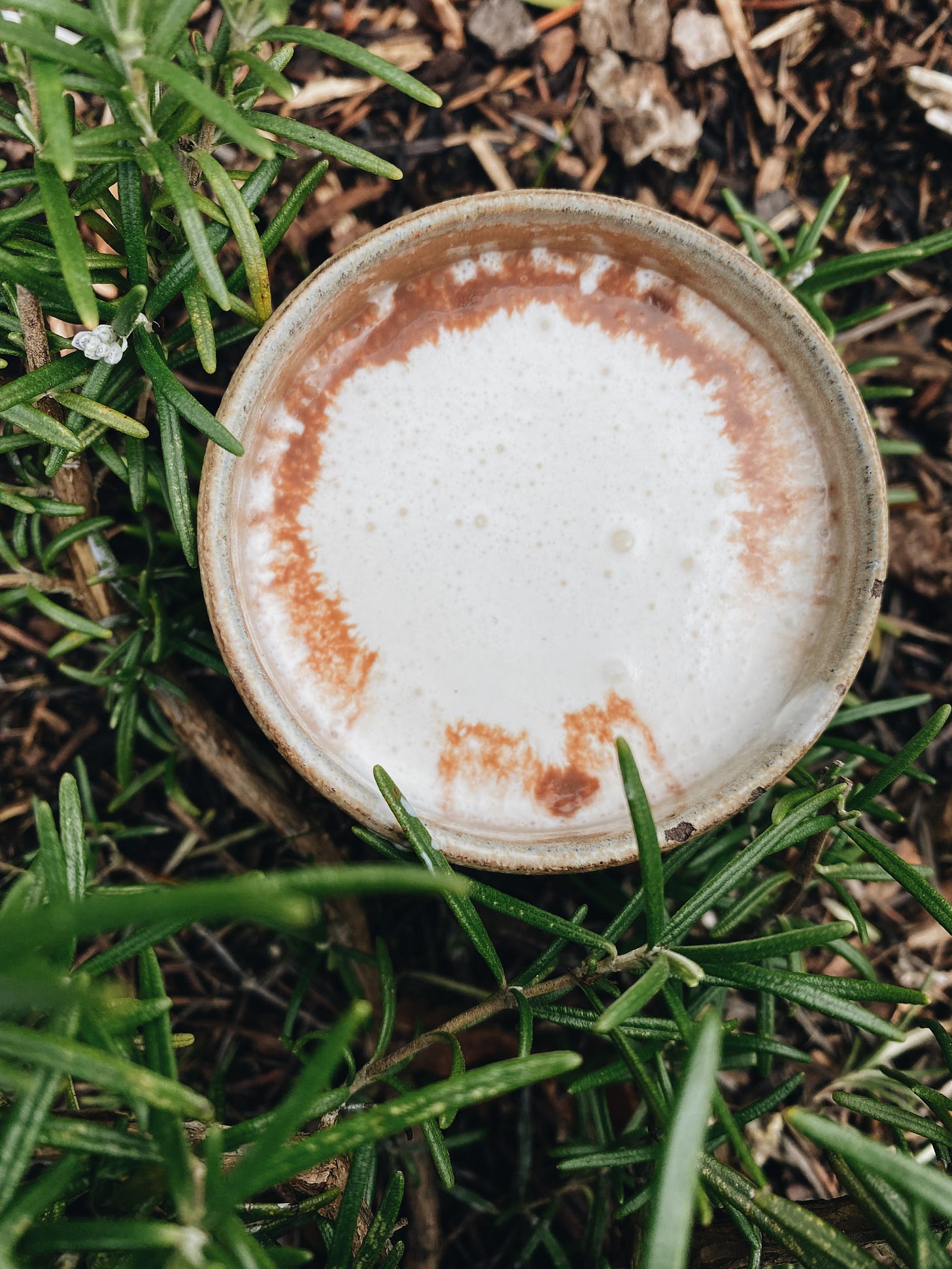 Reflecting on a Hunger Moon - by Ash Rodriguez - Fireside