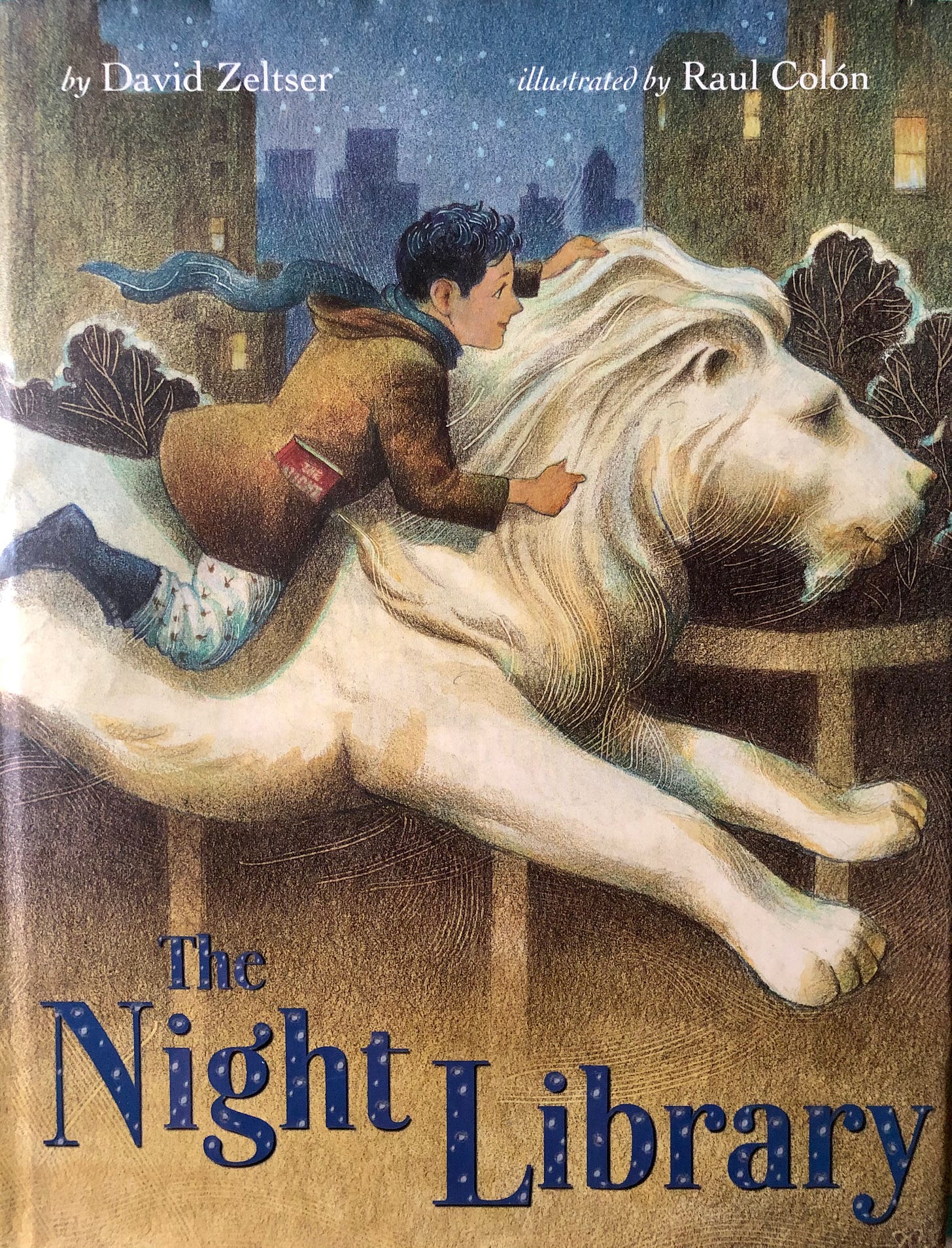 The Night Library - by Roopa Baliga - House Full of Books