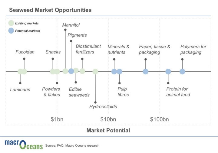 New Approaches to the Seaweed Processing Conundrum