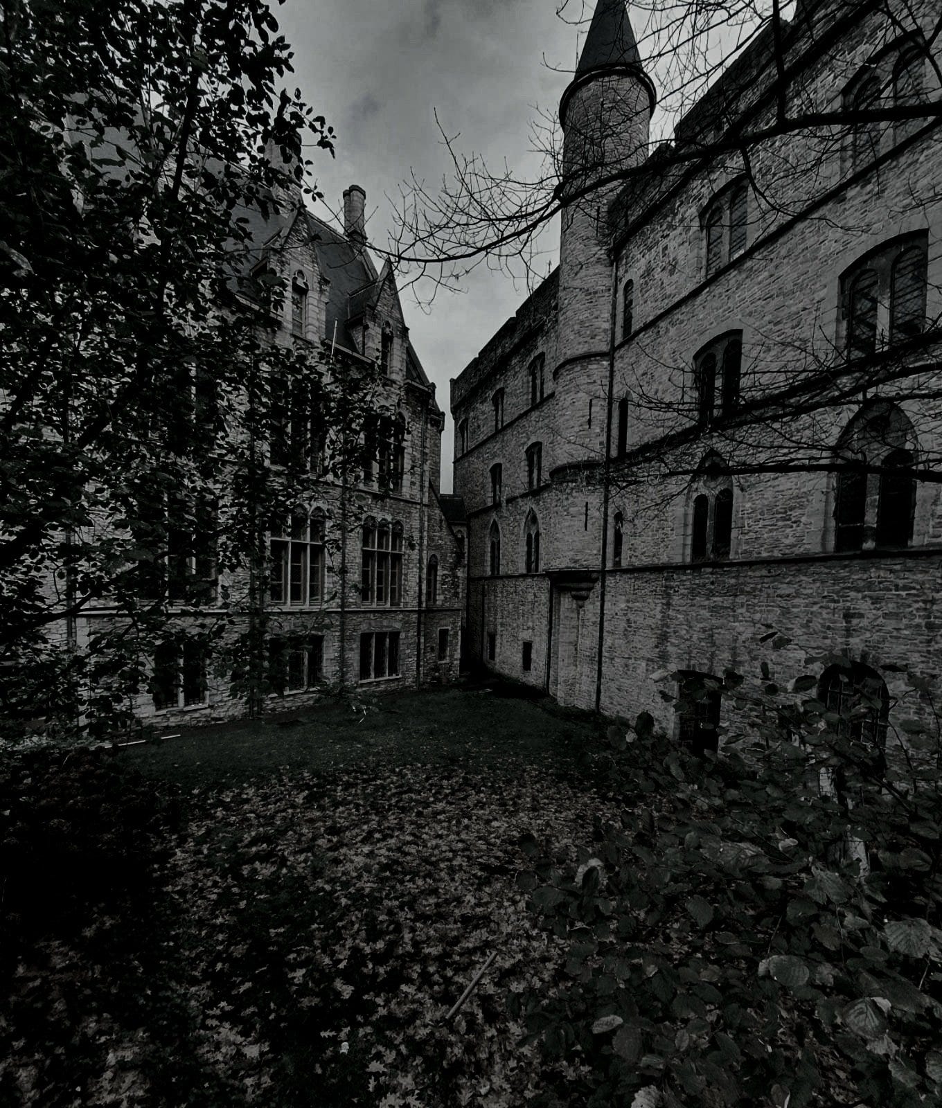 November Letter: Geeraard the Devil and Witches