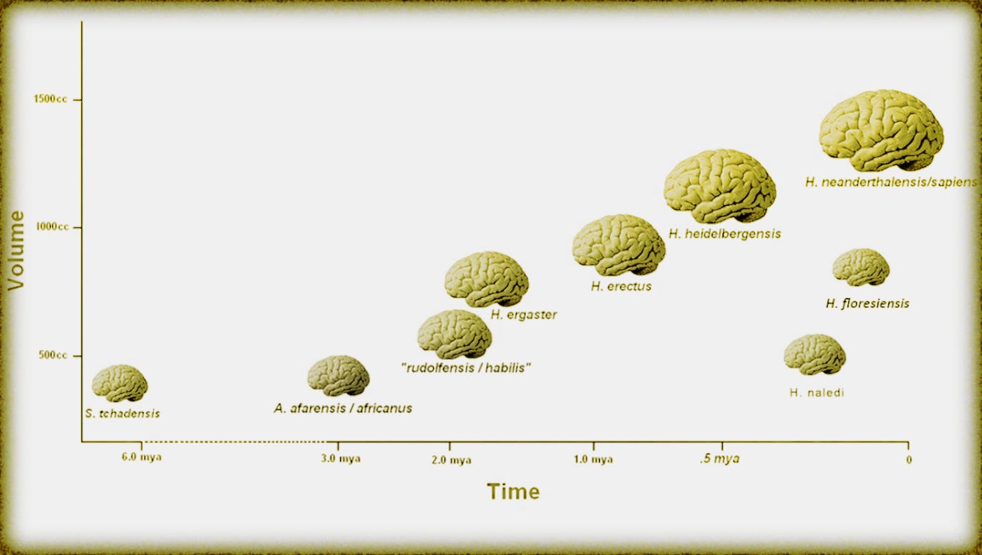 An Inherited Symbology - ᴋʟᴀᵾs