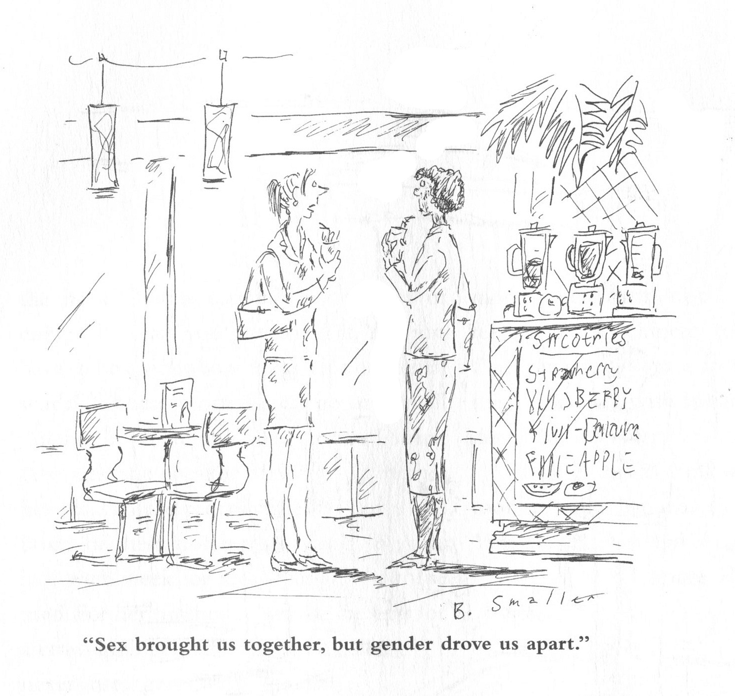 Gender Meets Cartoon - by Liza Donnelly - Seeing Things
