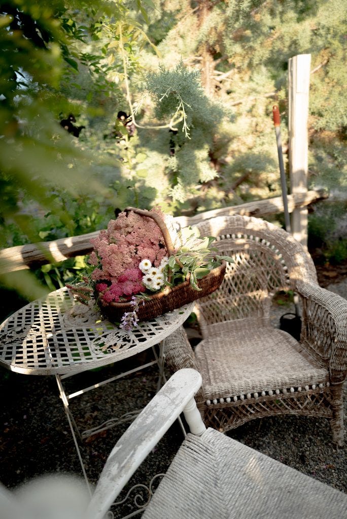 The Elliott Homestead Newsletter | Shaye Elliott | Substack