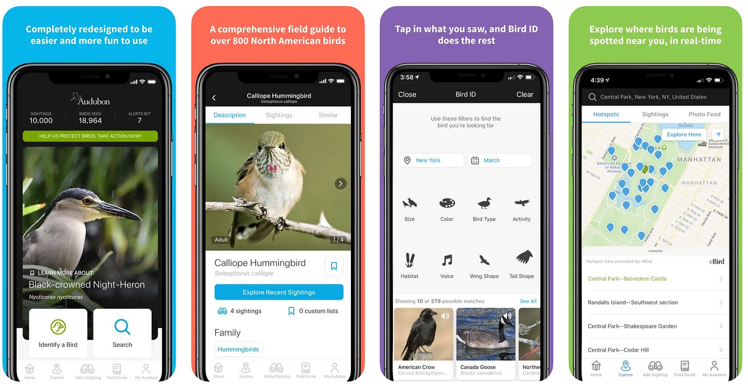 Nature for newbies 🦜🍃 - by Jeremy Caplan - Wonder Tools