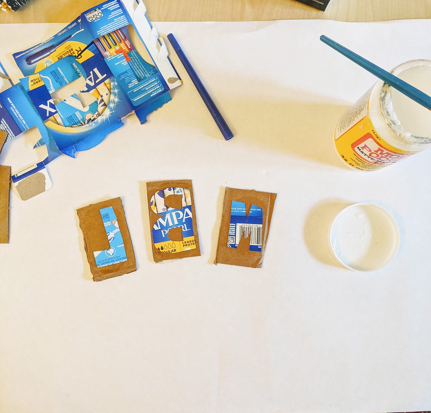 Make a Recycled Mixed Media Protest Sign