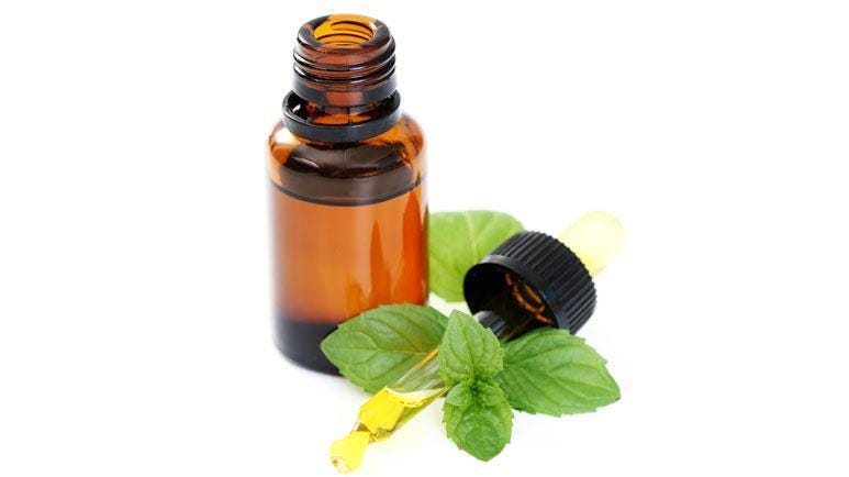 Peppermint Oil: A Potent Oil With the Power of Menthol