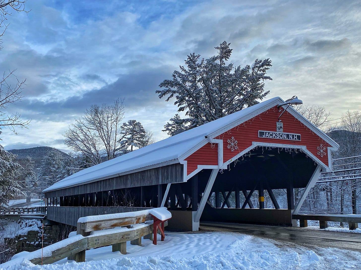 Thanksgiving Reveries - Tom Ryan, Author