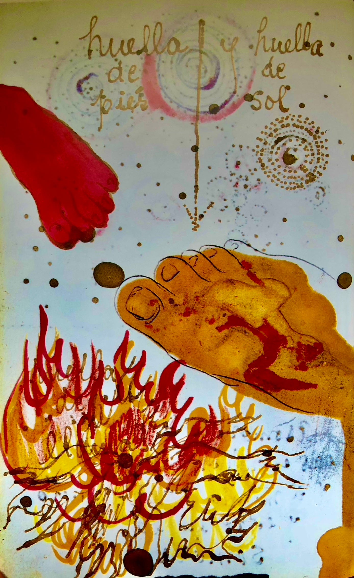 Frida Kahlo's Diary - by Jillian Hess - Noted