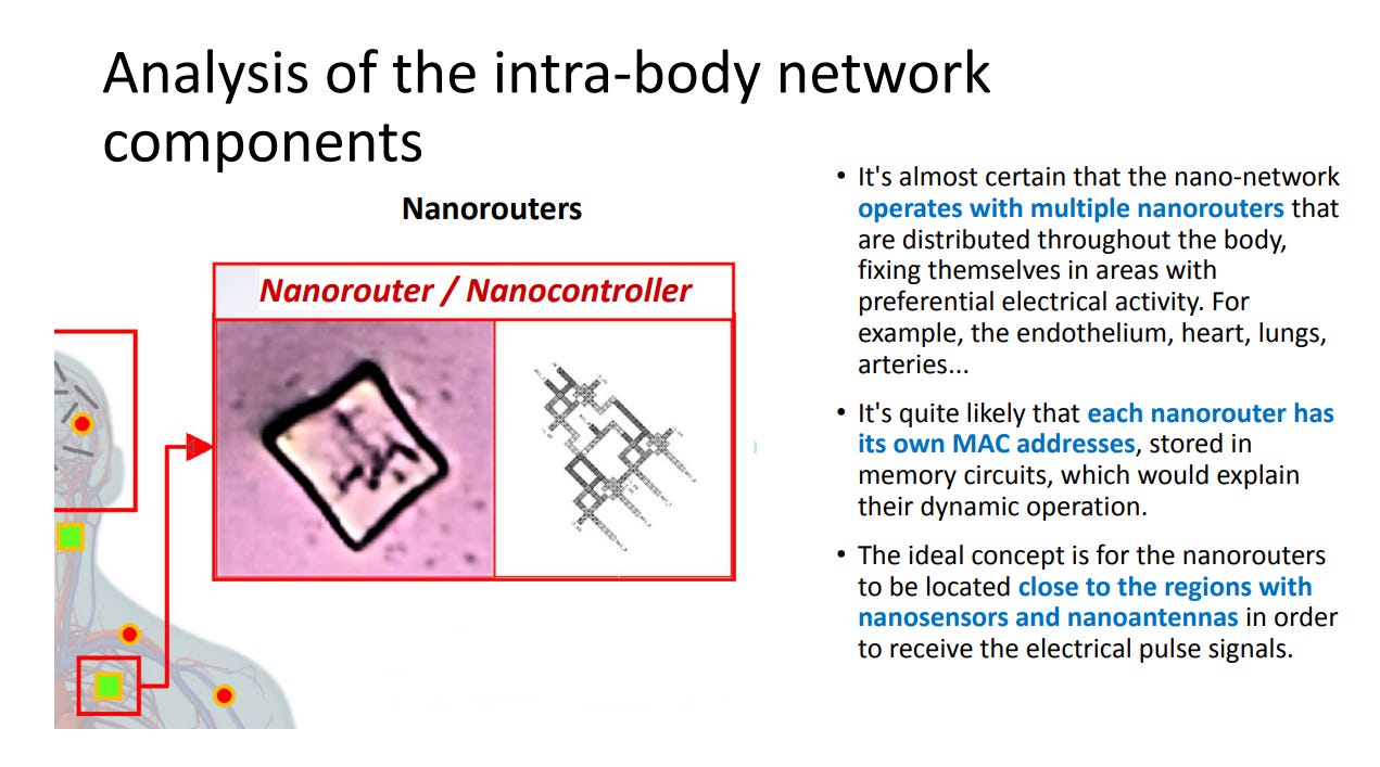 FANTASTIC MUST SEE Intra-Body Nano-Network Presentation by Mik Anderson