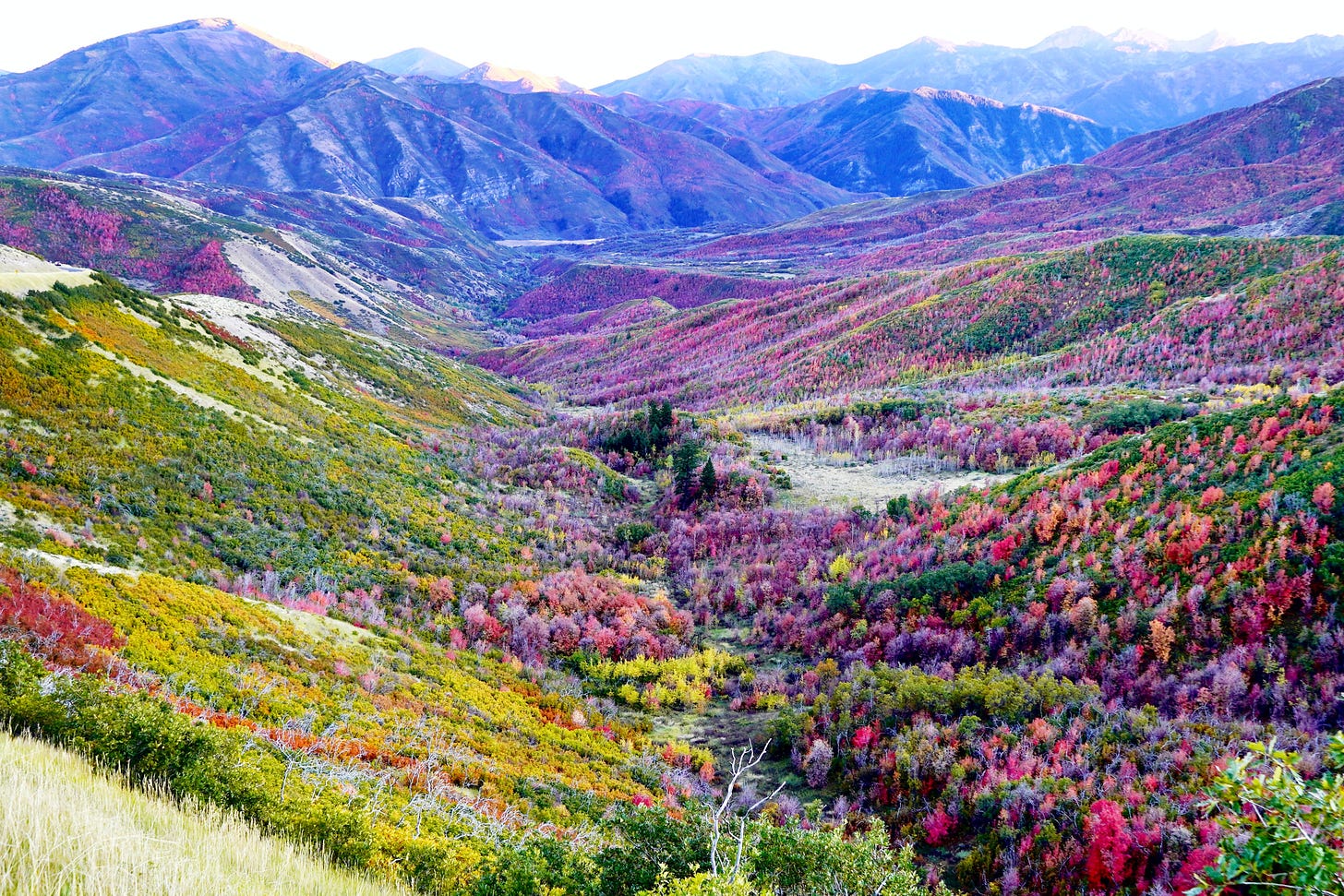 The things we can do with hydrochar