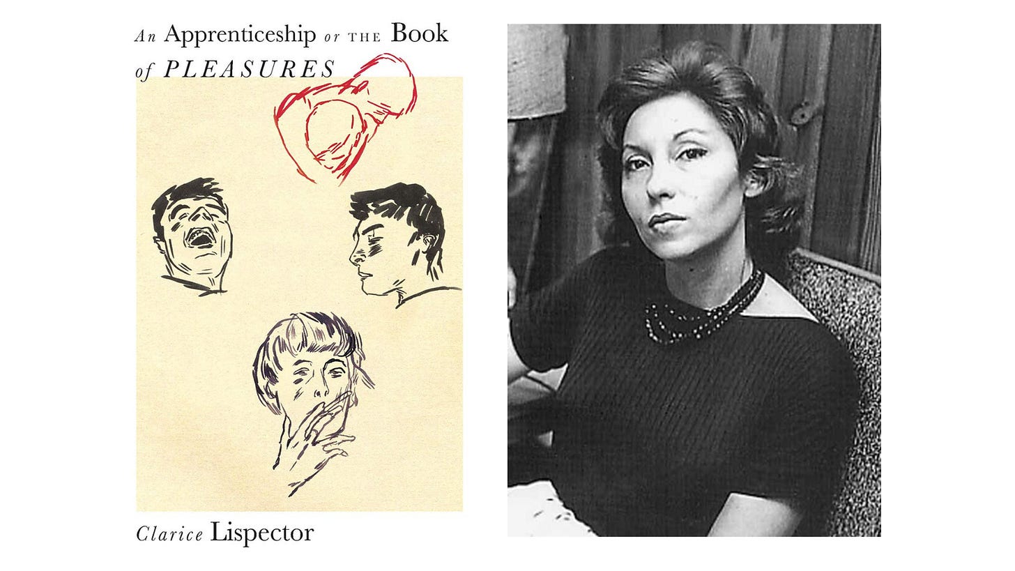 #2 An Apprenticeship Or The Book of Pleasures (1969) by Clarice ...