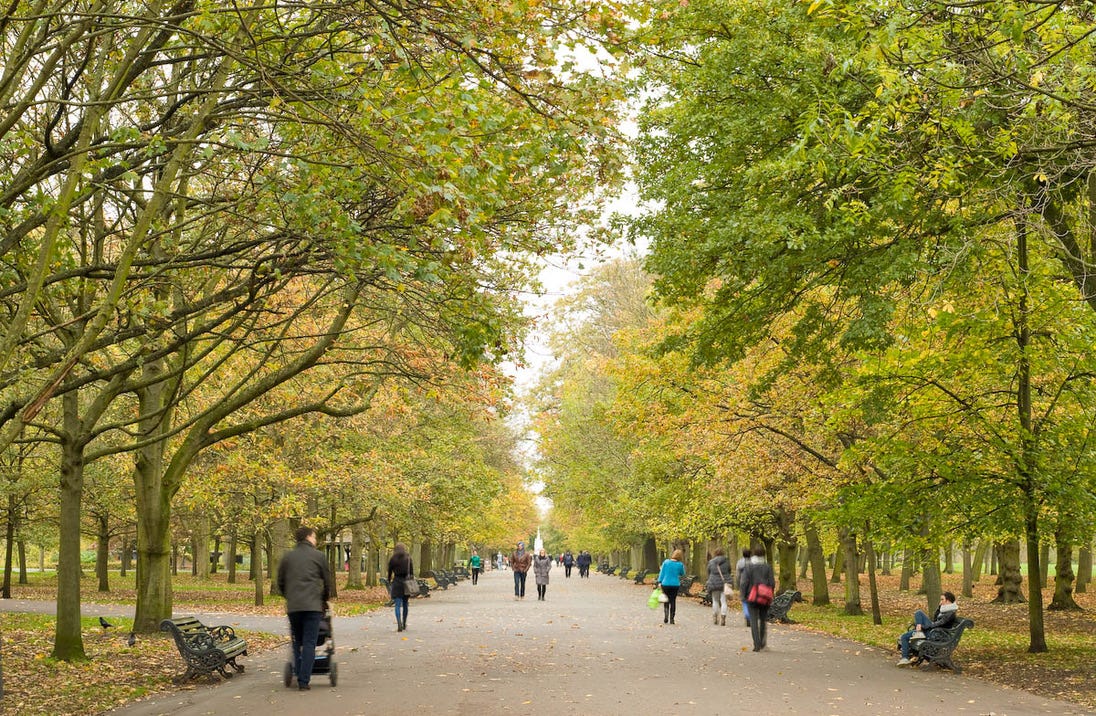 The Healthy Parks Theory of Governance - by John Halpin