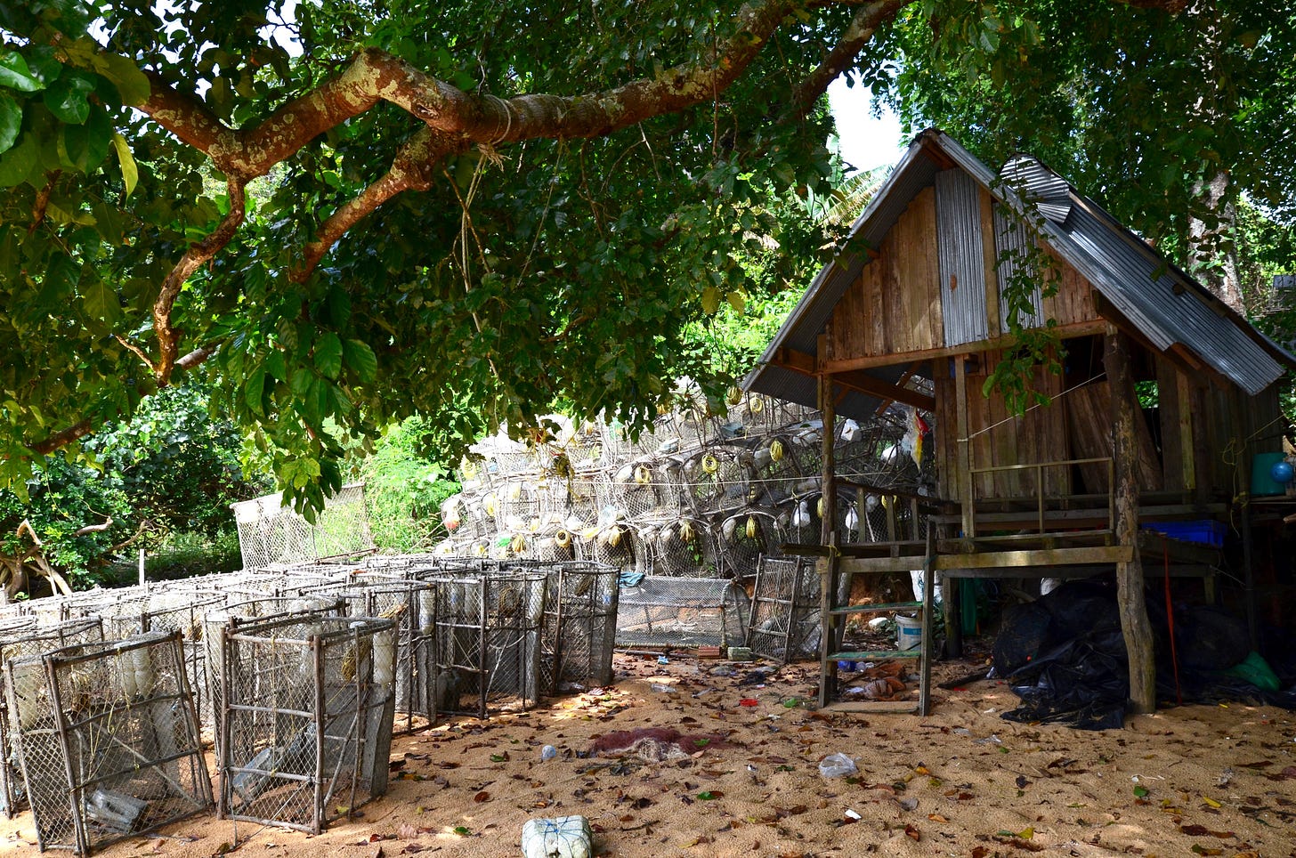 Ko Bulon: Low-level tourism meets graceful island life
