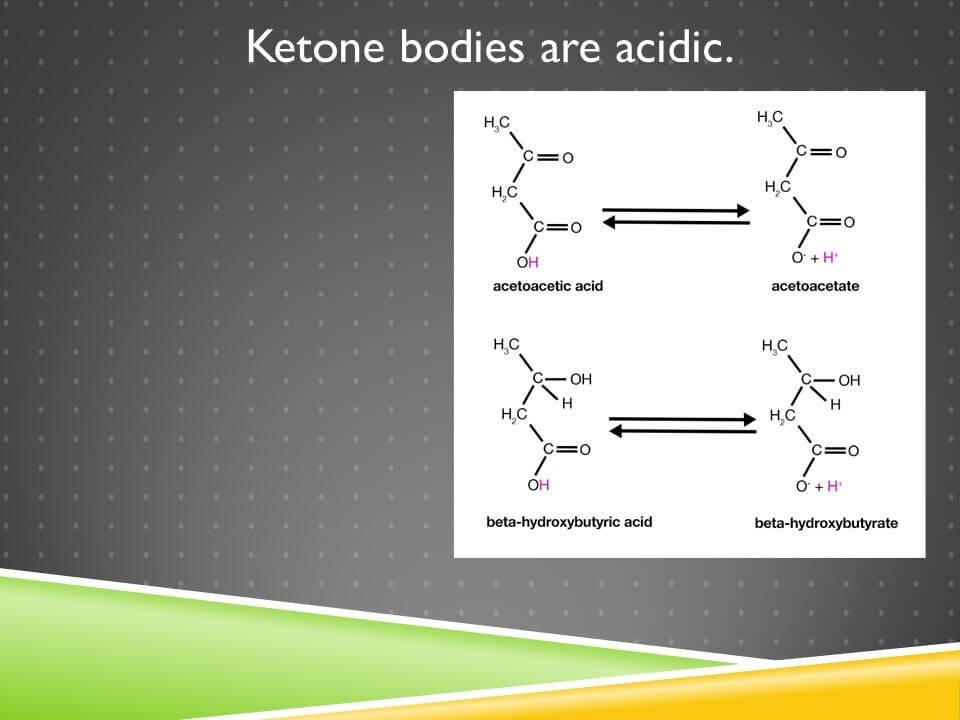 34. This is Why We Make Ketones - by Chris Masterjohn, PhD