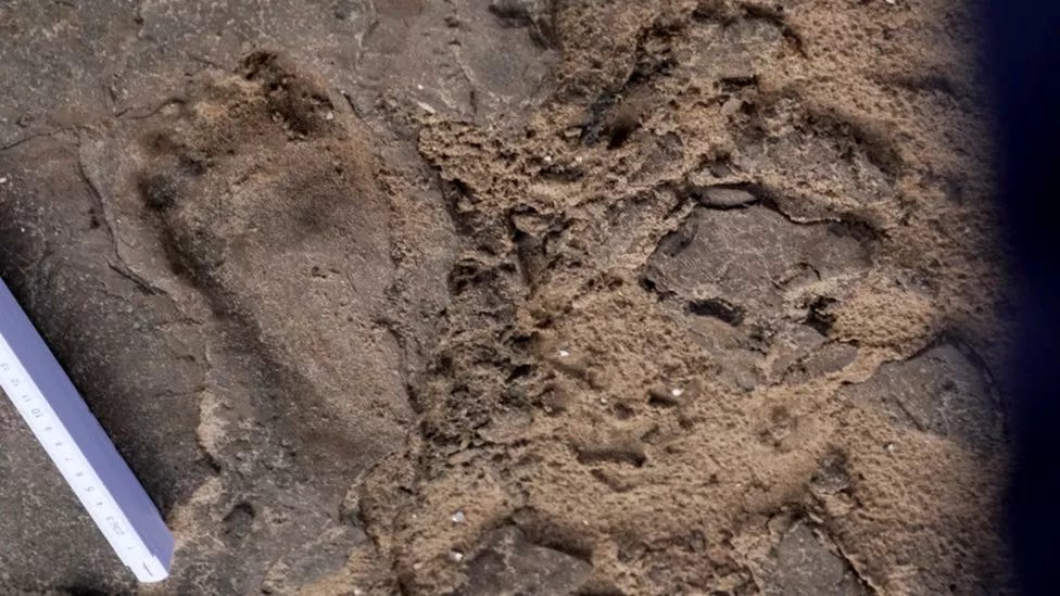 Ancient English 8,200 Year Old Footprints Ancient English 8,200 Year Old Footprints