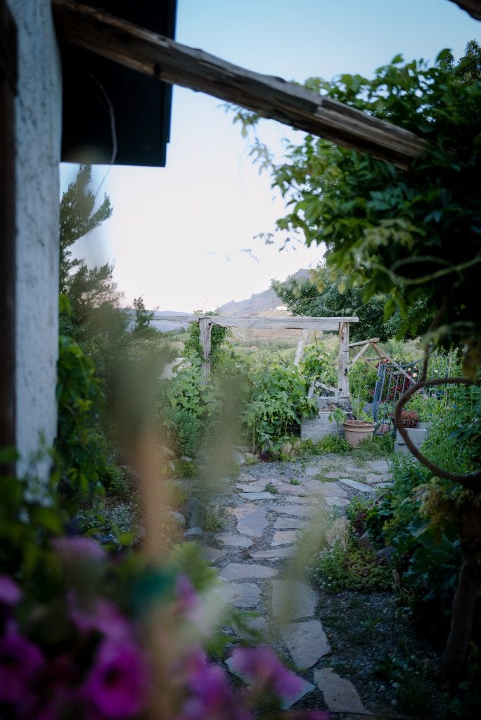 The Elliott Homestead Newsletter | Shaye Elliott | Substack