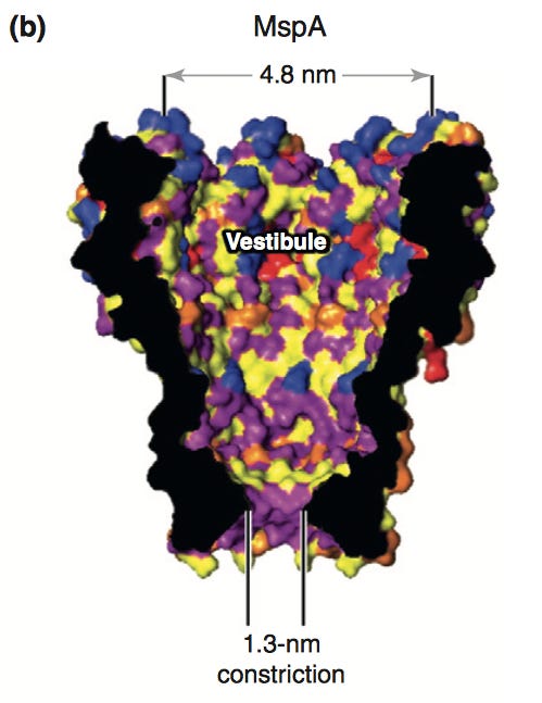 Ionic Current Solid State Nanopores - by Nava Whiteford