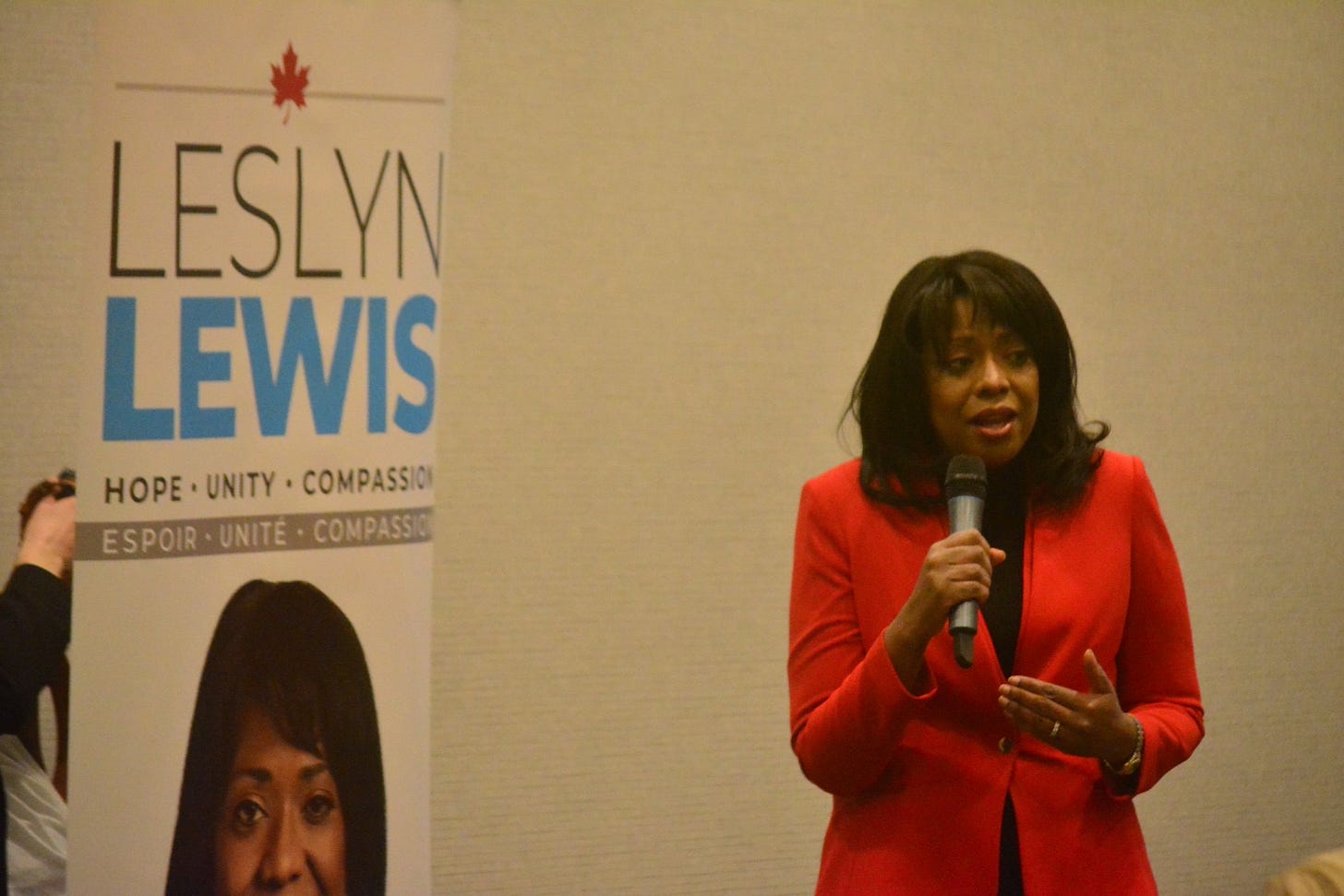 The paranoid stylings of Leslyn Lewis - by Jeremy Appel